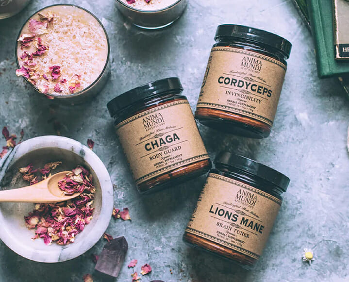 10 Helpful Herbs For The Womb In All Its Stages - My Company